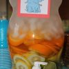 Dr. Seuss Beezlenut Splash Recipe!