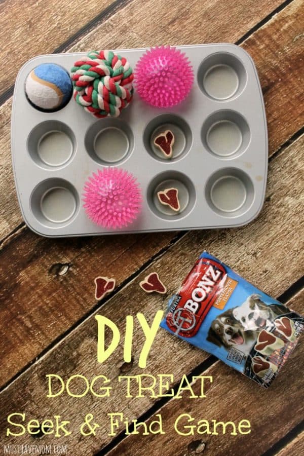 Dog Treat Seek & Find DIY Dog Game