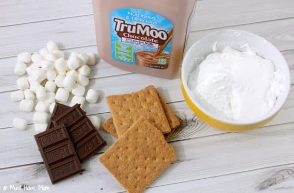 Smores Smoothie Recipe