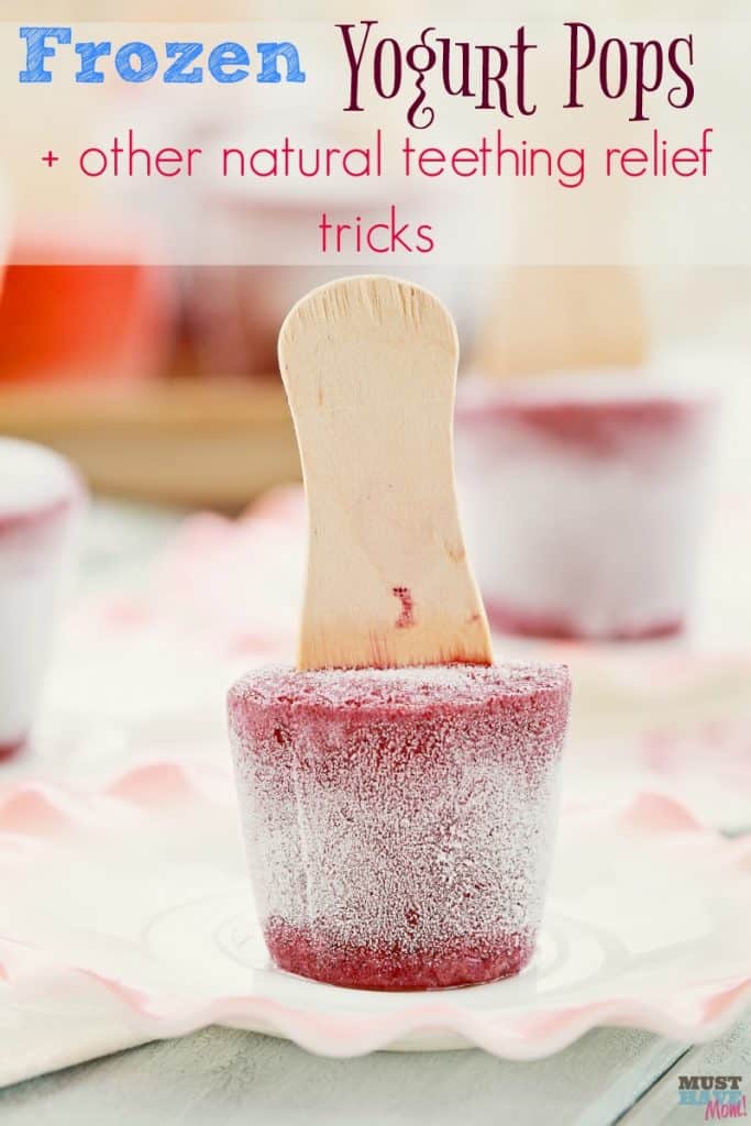 Blueberry Frozen Yogurt Pops Recipe + Other Natural Teething Relief ...