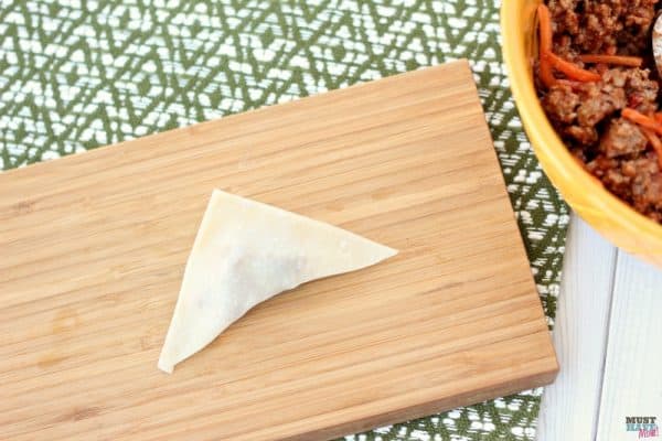 Kid Friendly American Wontons With Sloppy Joe Dipping Sauce Recipe ...