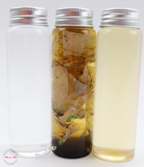 Teaching Activity - Ocean Pollution Sensory Bin - Must Have Mom