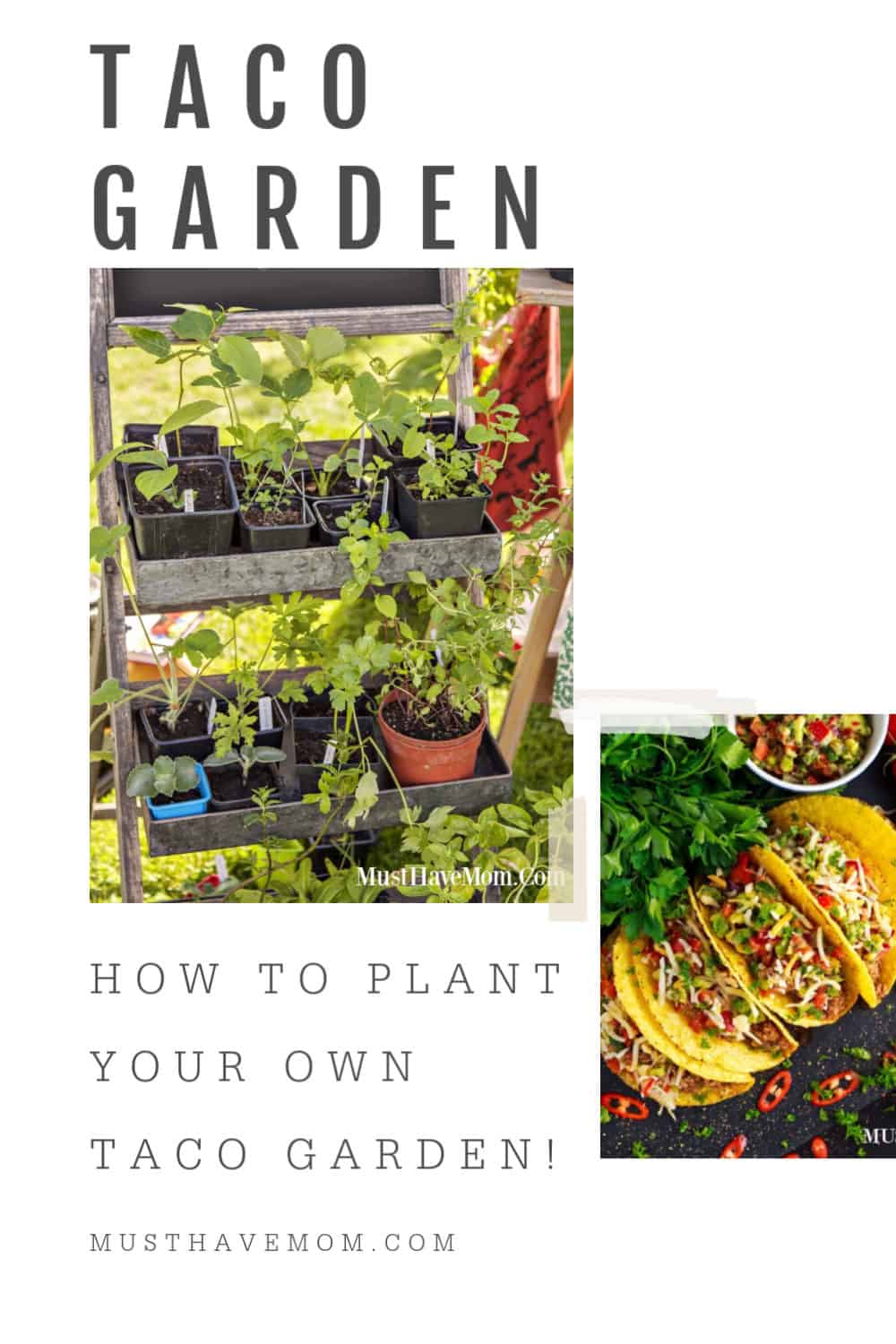 Family Vegetable Garden. Start a Family Taco Garden - Must Have Mom