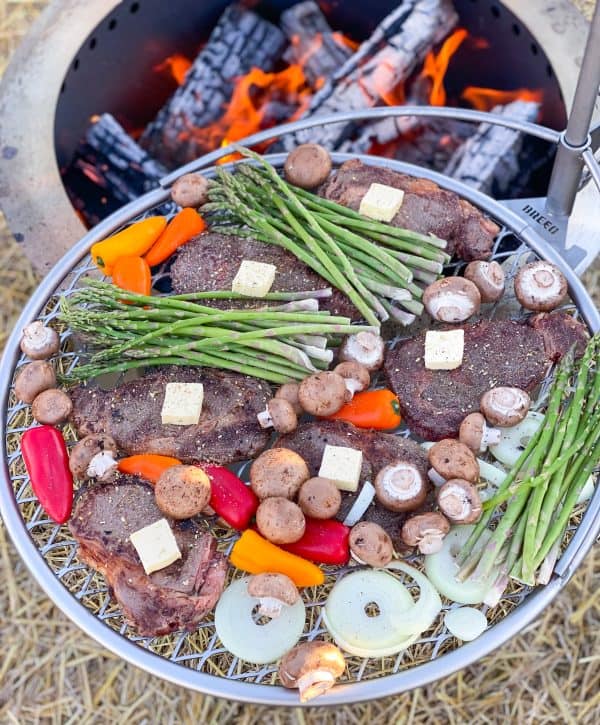 Breeo Smokeless Fire Pit - Must Have Mom